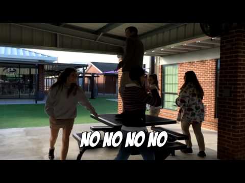 "Status Quo" Spanish Preterite Video