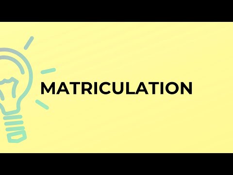 What is the meaning of the word MATRICULATION?
