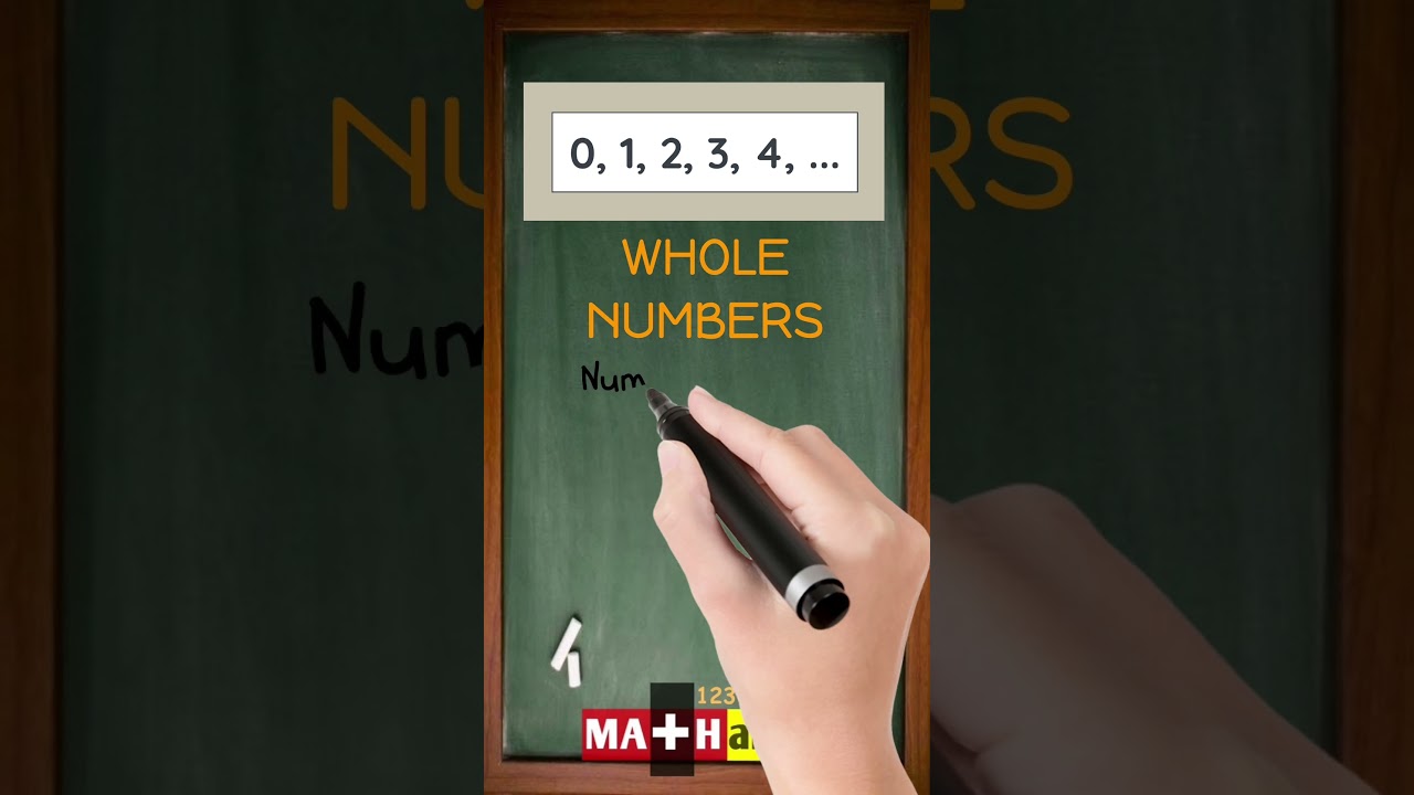 What is Whole Numbers in Math? | Your Shortcut to Easy Scores