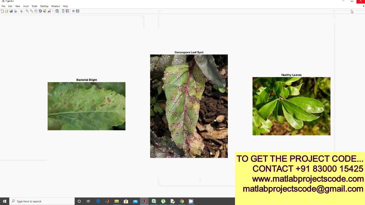 DETECTION OF PLANT LEAF DISEASE USING CONVOLUTIONAL NEURAL NETWORK