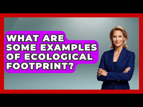 What Are Some Examples Of Ecological Footprint? - The Geography Atlas