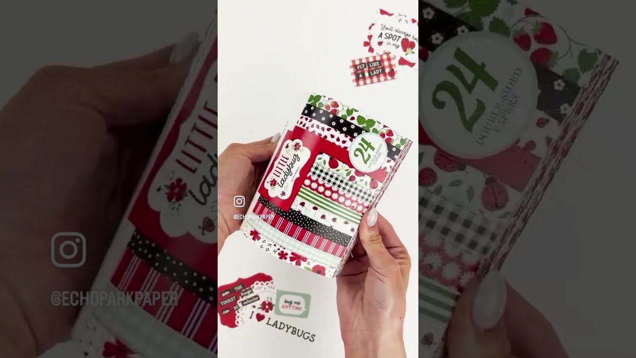 Little Ladybug Cardmakers Kit