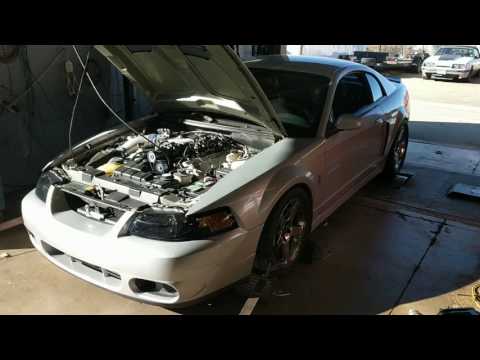 Cobra pre tune. 462hp/451tq