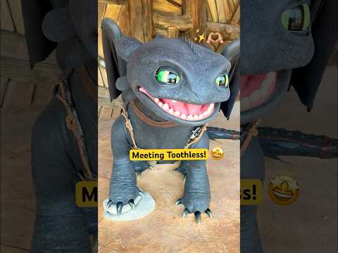 Meeting Toothless at Epic Universe! 🤩 #epicuniverse #toothless #howtotrainyourdragon