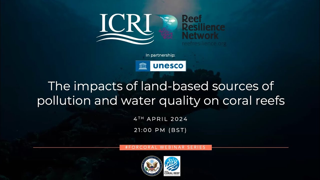 Managing land-based pollution is crucial in keeping coral reefs healthy ...