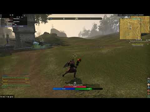Animation bug — Elder Scrolls Online