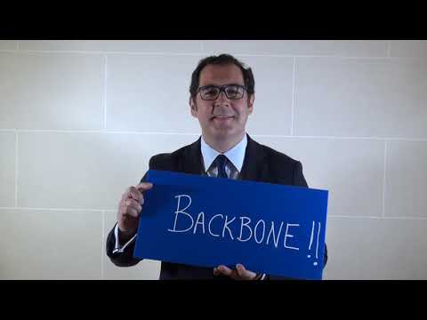 What's the backbone of inclusive connectivity?