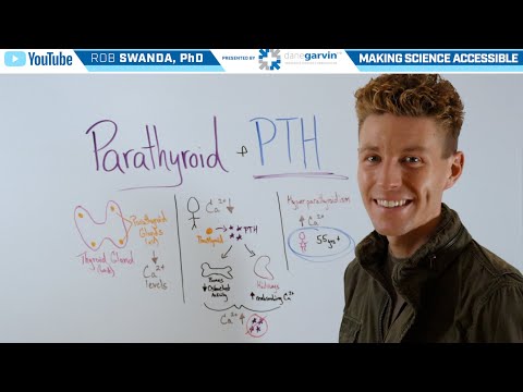 Parathyroid and PTH Overview