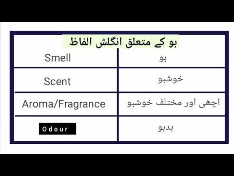 Smell Vocabulary Words With Urdu Meanings | English With Tabinda