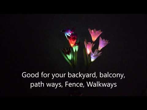 Solar garden lights - LED solar garden flowers light – Glow Lily Flower Garden Lights