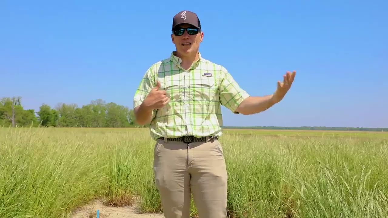 Tips on Tackling Italian Ryegrass with Jason Bond, Mississippi State University