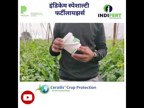 #indifert #agriculture #agriculturefarming #farming #farmer #micronutrife #phitein