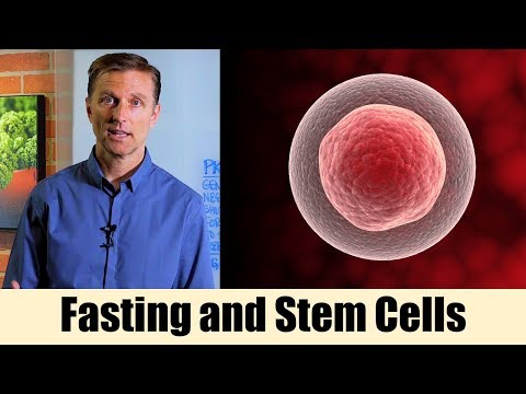 Using Fasting to Enhance Stem Cells – Dr. Berg On Intermittent Fasting & Cell Regeneration