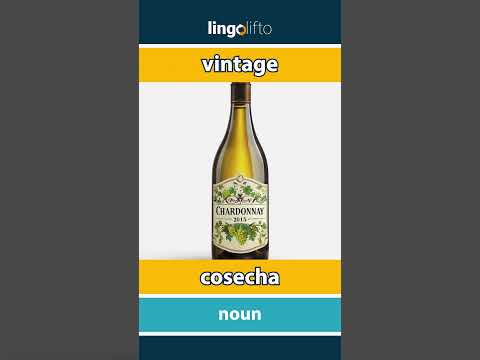 🇬🇧🇪🇸 vintage - cosecha : learn English : aprendamos inglés : vocabulary builder