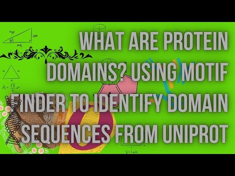 What Are Protein Domains? Using Motif Finder to Identify Domain Sequences from UniProt"