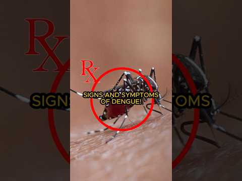 SIGNS and SYMPTOMS of DENGUE!😃 #prevention #motovlog #facts #doctorsadvice #dengue