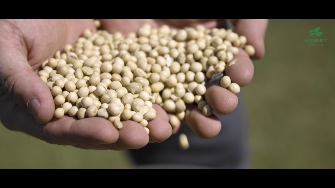 Hamlet Protein - Your partner on Sustainable sourcing