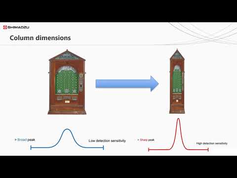 GC Theory and Key Principles: Session 2