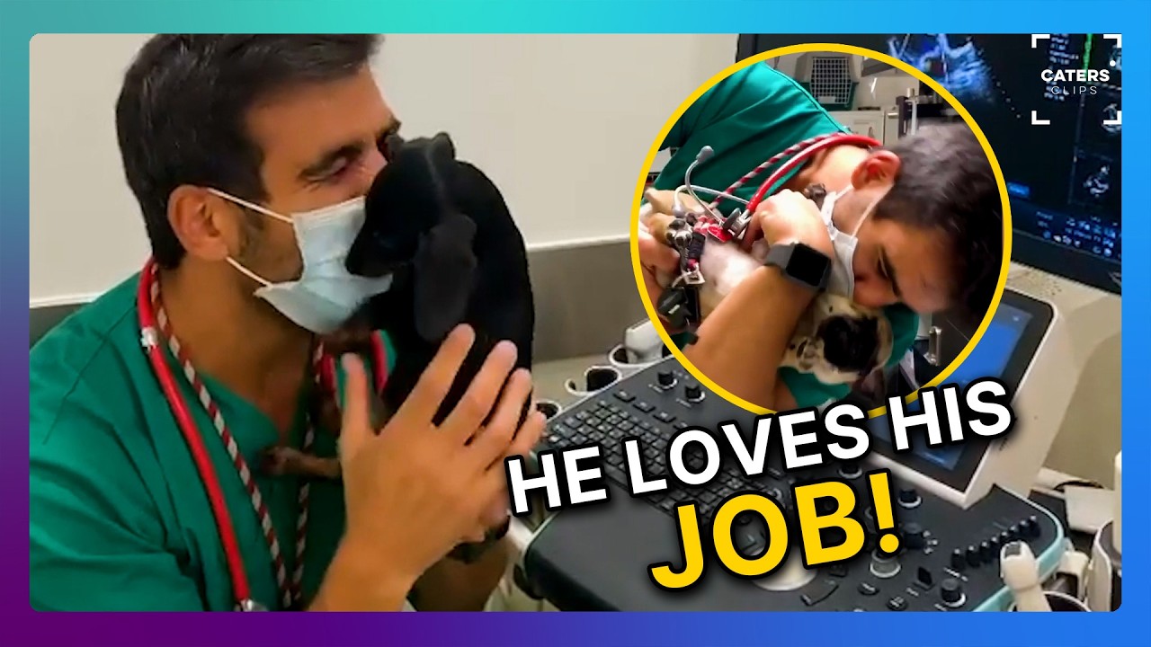 Animals That Actually Love the Vet 🐾