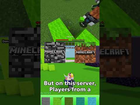 Minecraft And Roblox Crossplay