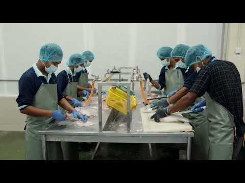 A Reliable Seafood Manufacturing Company in Penang | Malaysia [PINANG]