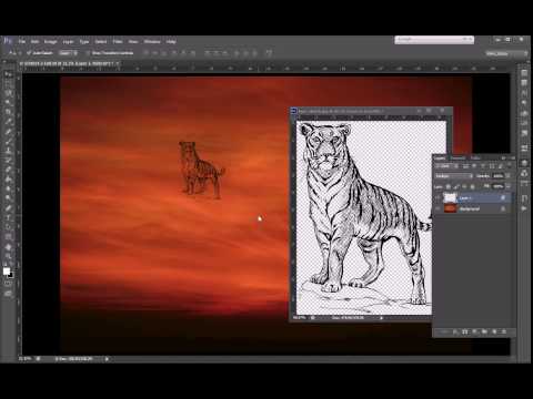 Transparent Background for Clipart