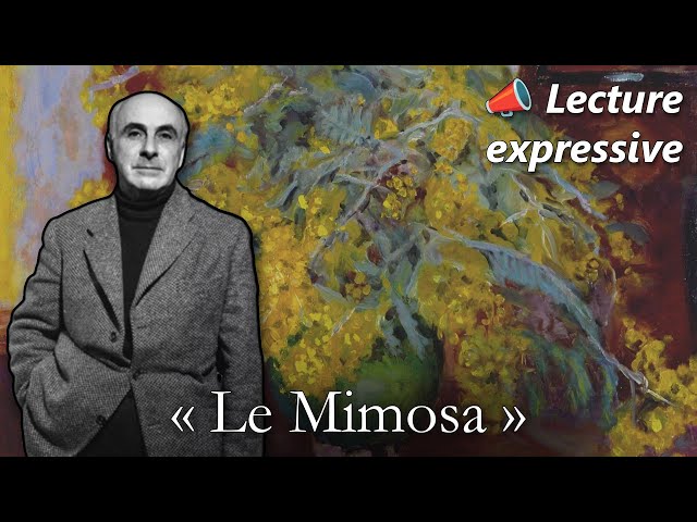 La Rage de l'expression, Ponge : 🔎 Le Mimosa (Explications et ...