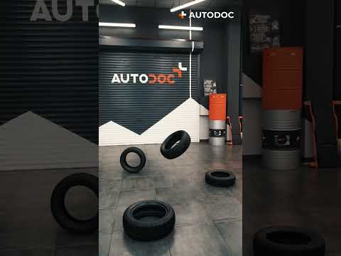The marvellous mechanic and the tyre | AUTODOC #shorts
