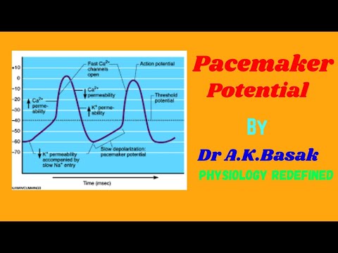 Pacemaker Potential in SA Node of heart : For MBBS, BDS and Allied Health Sciences