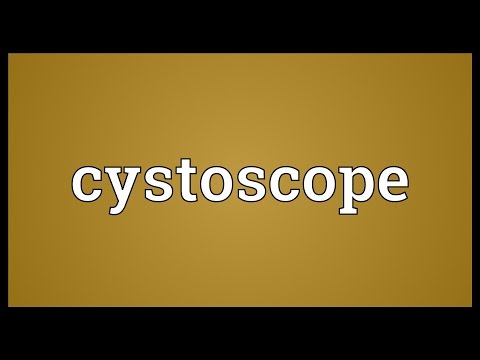 Cystoscope Meaning