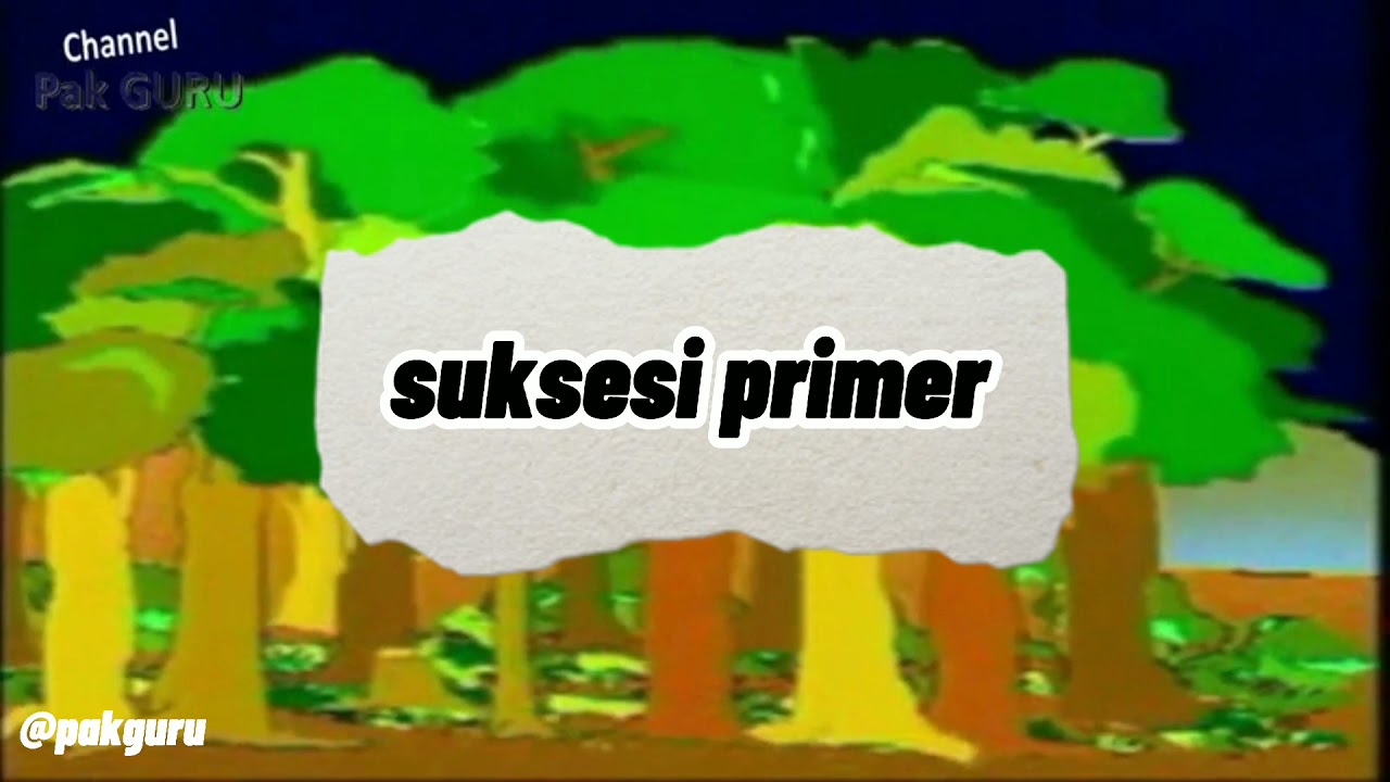 [EKOTUM] Suksesi Primer dan Suksesi Sekunder