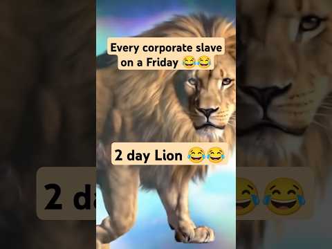 #viralvideo #corporatelife #fun #work #shorts. Lion for 2 days 😂😂 #friday #fridayfeeling #weekend