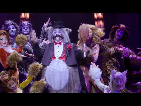 Cats-Paramount Theatre- Chicago