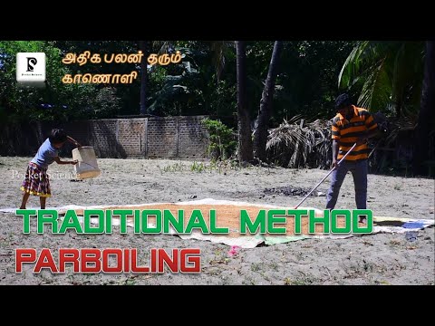 Traditional method Parboiling | Try in your home | Pocket Science ...