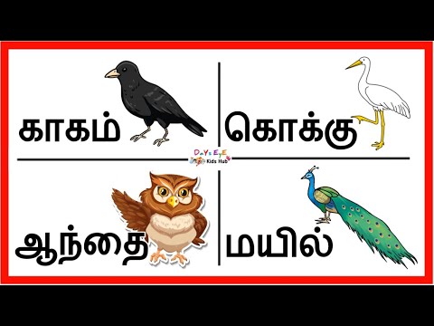 மூன்று எழுத்து சொற்கள் | Learn three letter words for kids | Tamil Letters |மூன்றெழுத்து வார்த்தைகள்