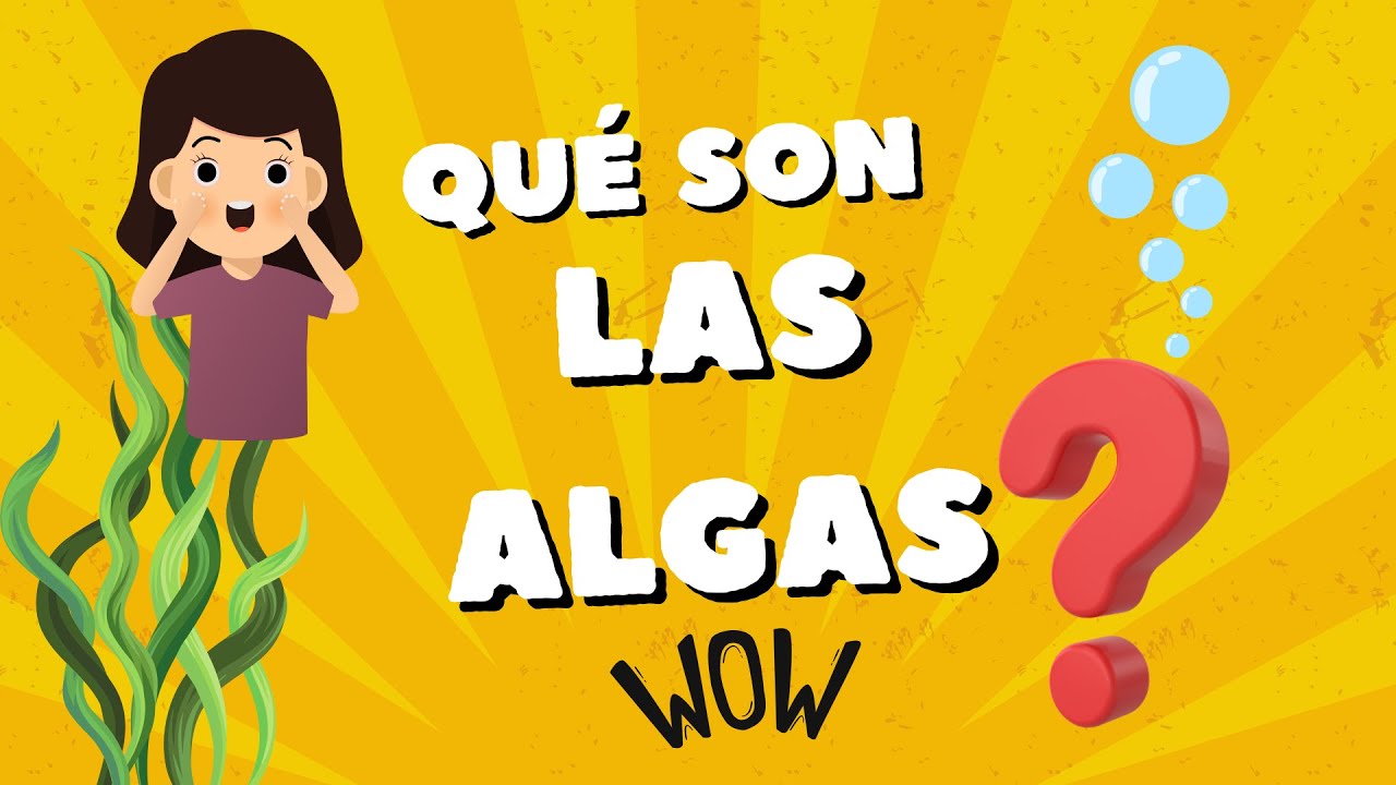 ¿QUÉ SON LAS ALGAS? VIDEOS EDUCATIVOS