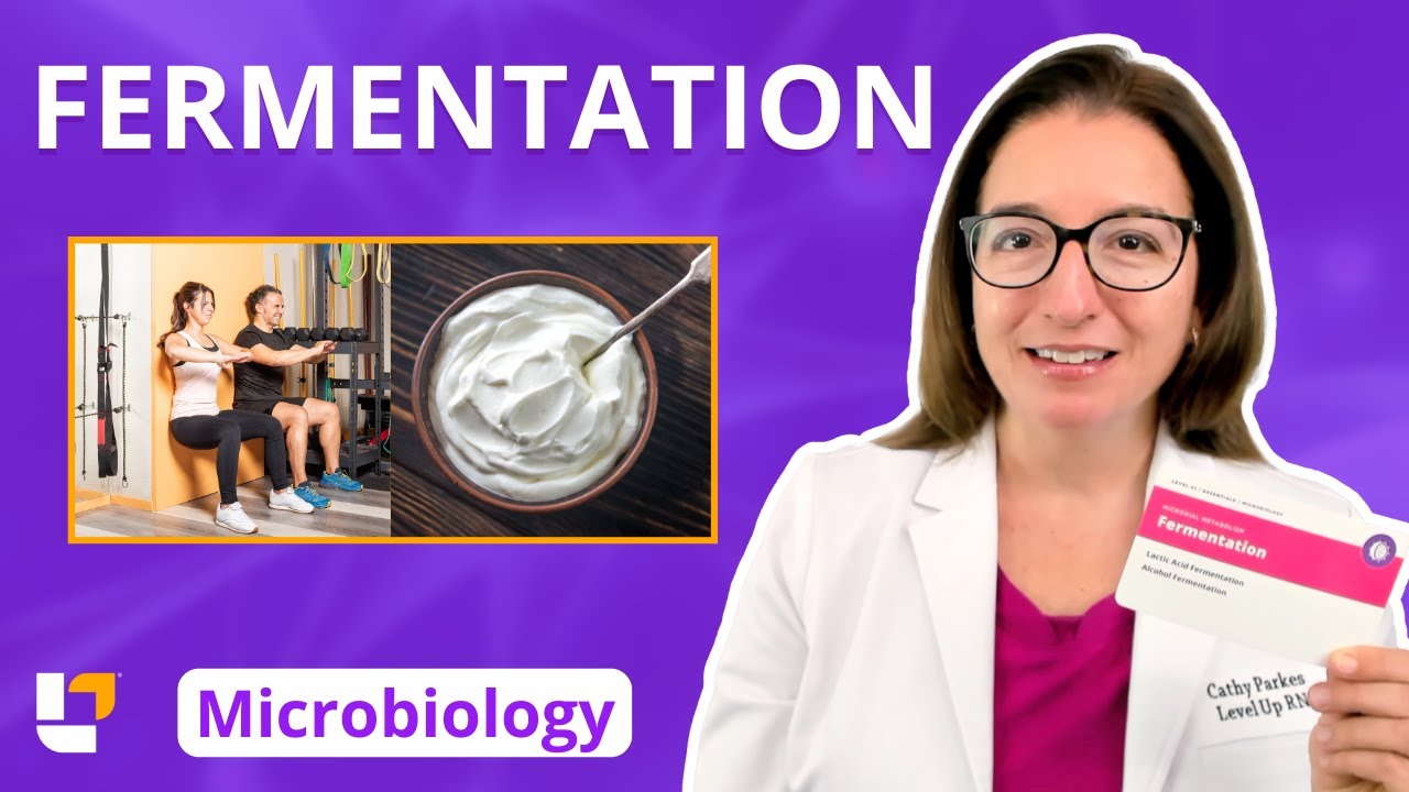 Fermentation: Microbiology Metabolism: Nursing, Pre-Med & Health Field Careers | @LevelUpRN