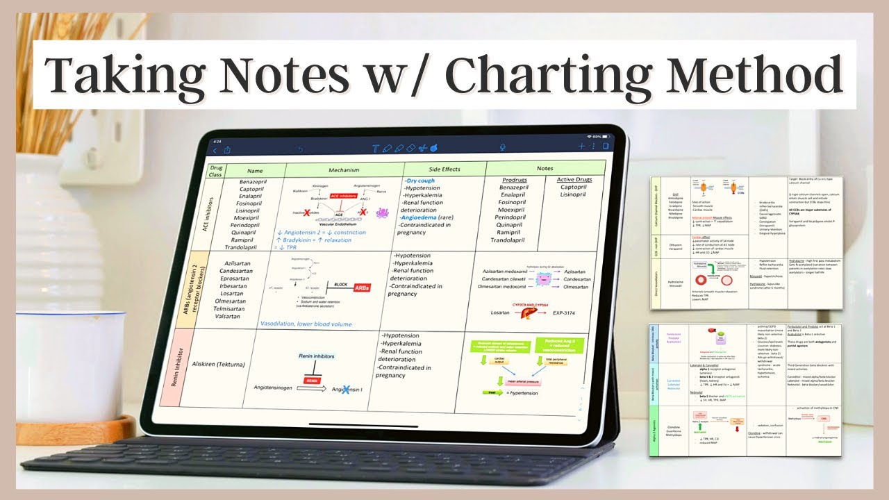 How To Take Notes With The Charting Method | Studymas 2020