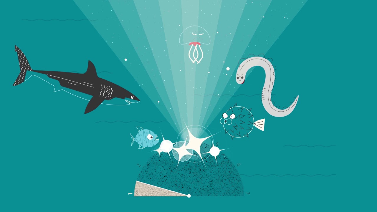 Coral Protocol | F6S