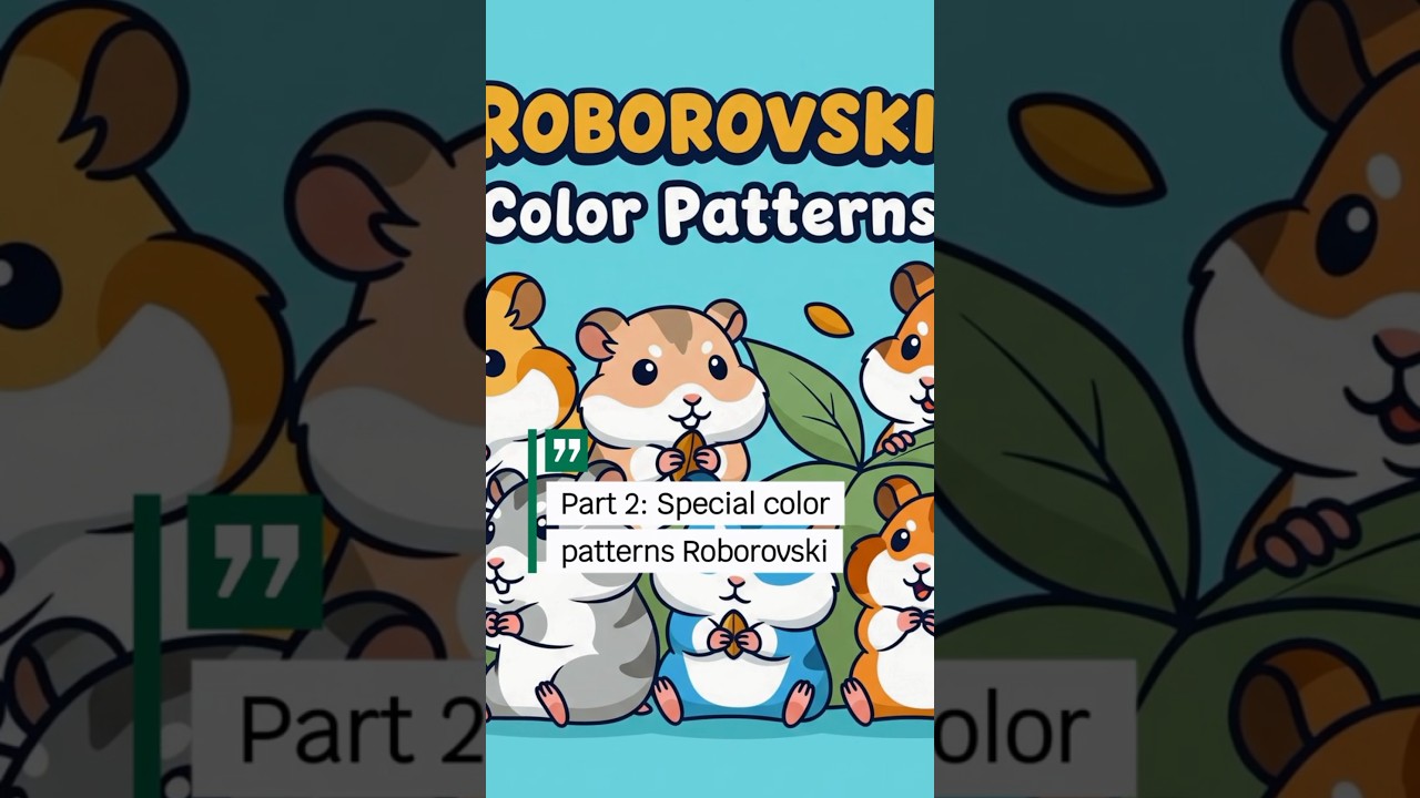 Part 2: Rare Hamster Patterns You’ve NEVER Seen Before! 🐹✨ #hamster #roborovski