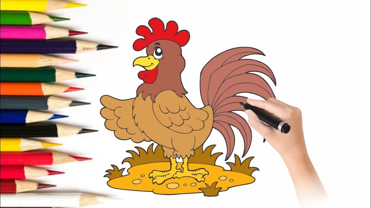 How to Draw a Cock l Easy Step-by-Step Tutorial