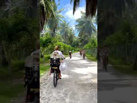 La Digue Island In Seychelles