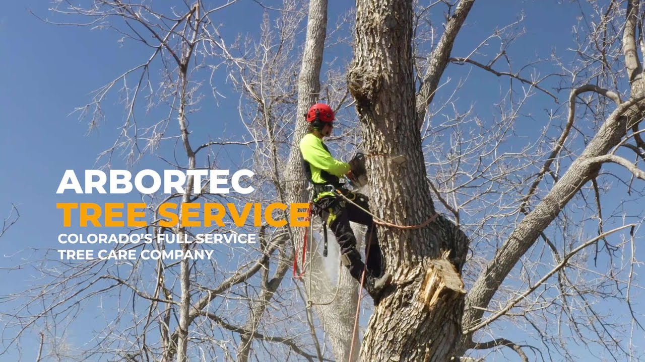 Arbortec Tree Service | Professional Tree Care | Arborist Services in Broomfield, CO