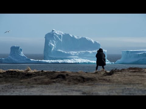 Fun Fact Friday - Where Do Icebergs Come From?