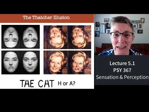 367 Lecture 5.1 Sensation versus Perception