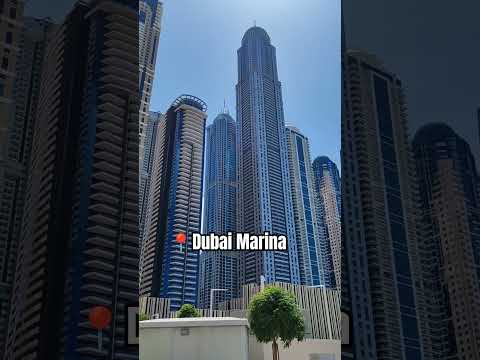 Welcome to Dubai Marina | The Season of Migration | Ep.31