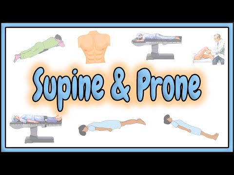 36. Supine & Prone Positions || 2D Animation