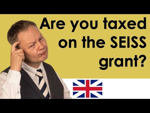 Is the self employment income support grant taxable?