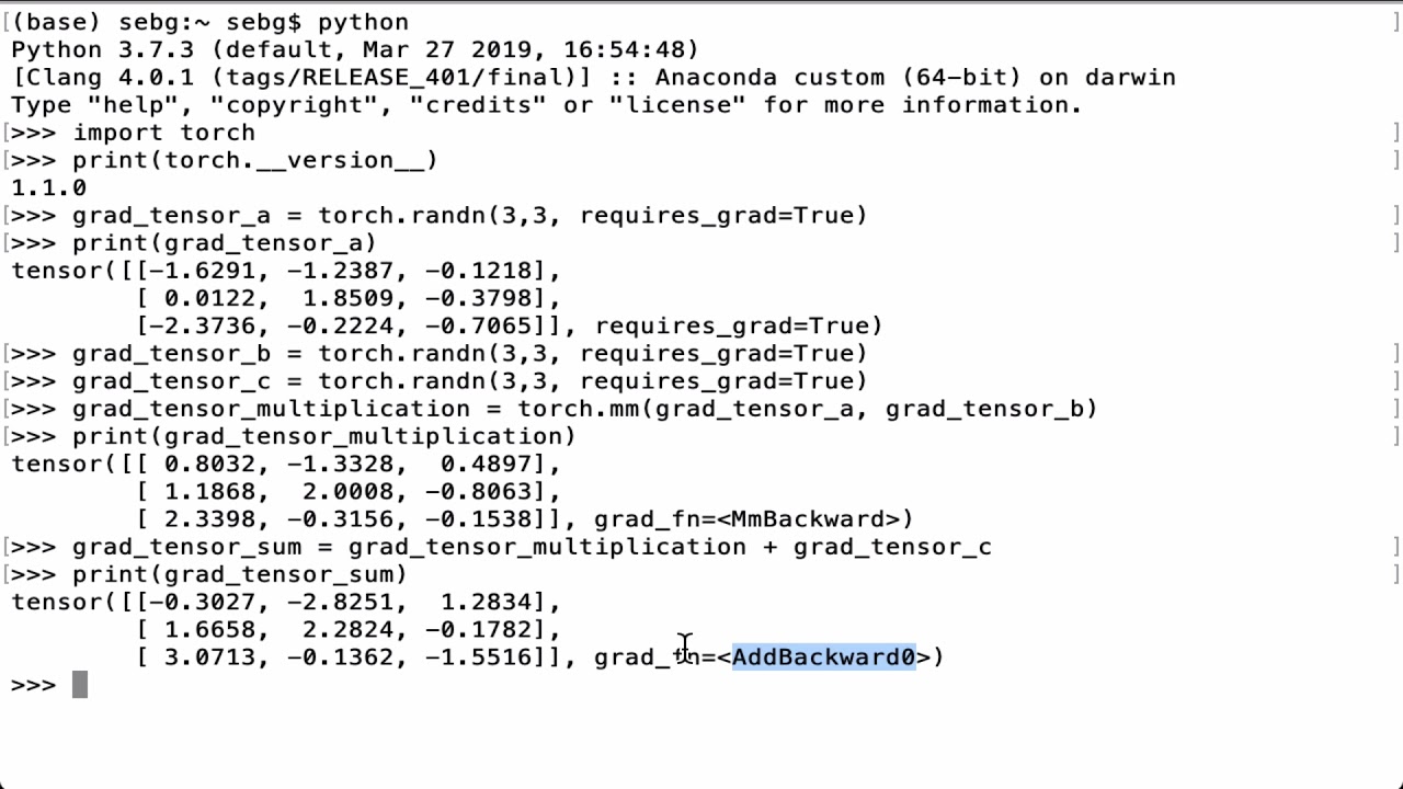 Make A Simple PyTorch Autograd Computational Graph - PyTorch Tutorial