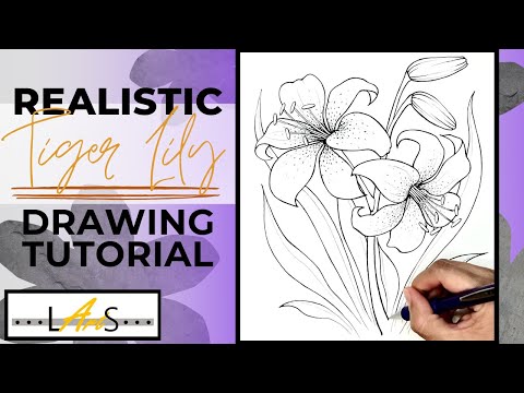 How to draw a Realistic TIGER LILY!! Step-by-Step Pencil Drawing! Tiger Lily! How to draw a lily!